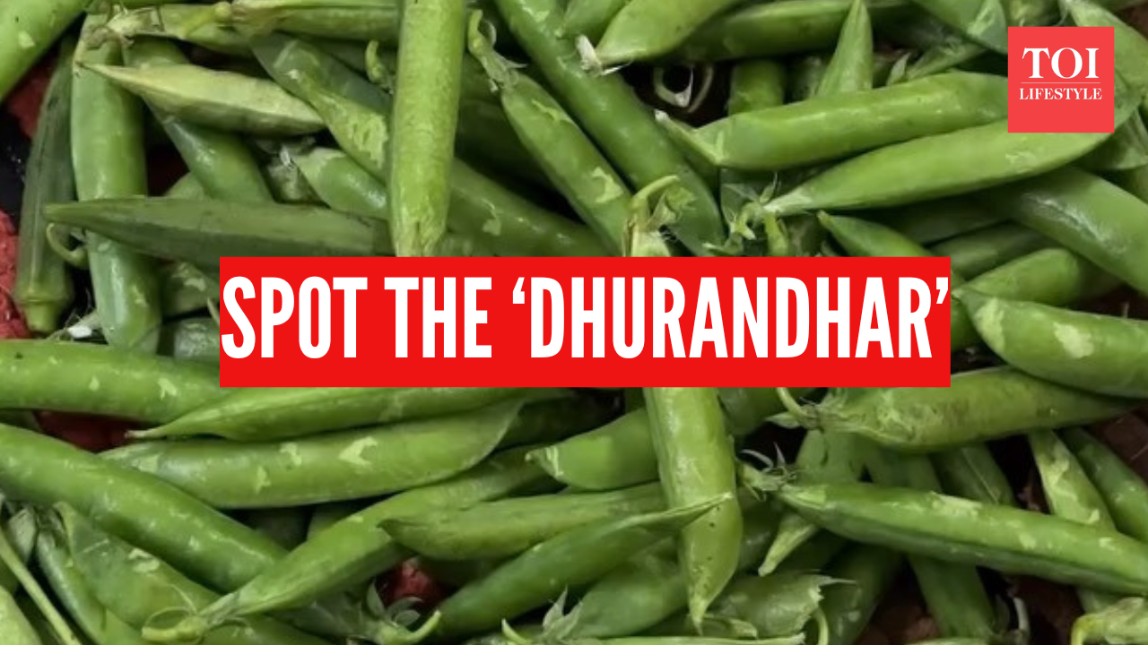 Can you spot the 'Dhurandhar' in this viral video?