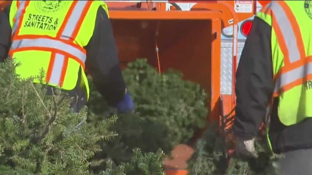 Chicago's Christmas tree recycling program kicks off next week