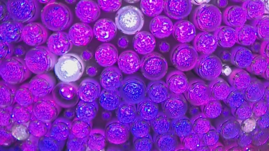 New Year’s Eve Ball 2026: Celebrating America’s 250th anniversary