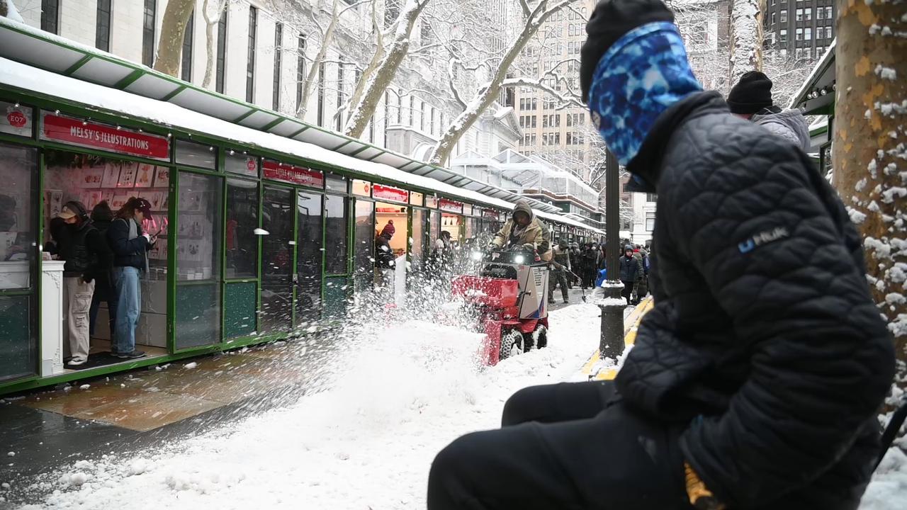 NY: Snowfall in New York City - 66425450