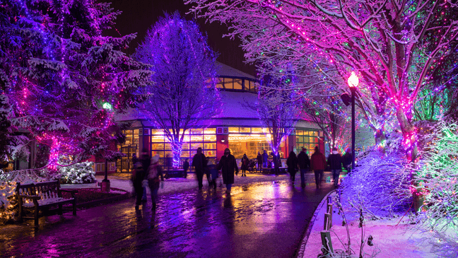 Here's some things left to do in Columbus before the holidays are over