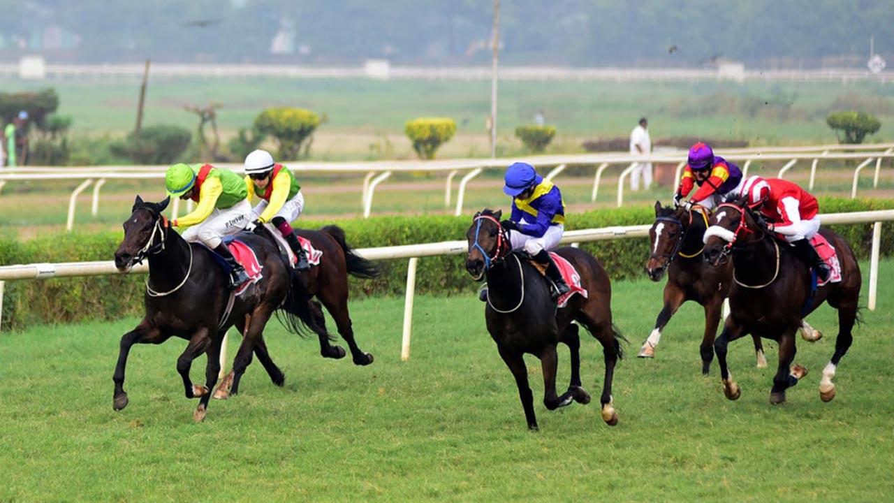 Psychic Star tipped to shine in Maharaja Jiwajirao Scindia Trophy (Gr 3)