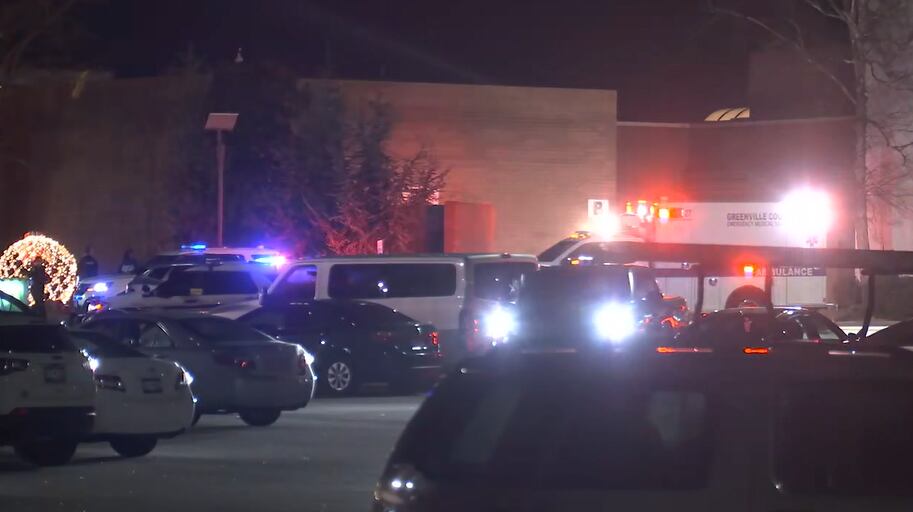 Live: Juvenile with stolen gun arrested at Haywood Mall after reported ...