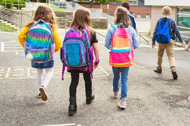 Officials issue warning after wild predator is spotted near preschool ...