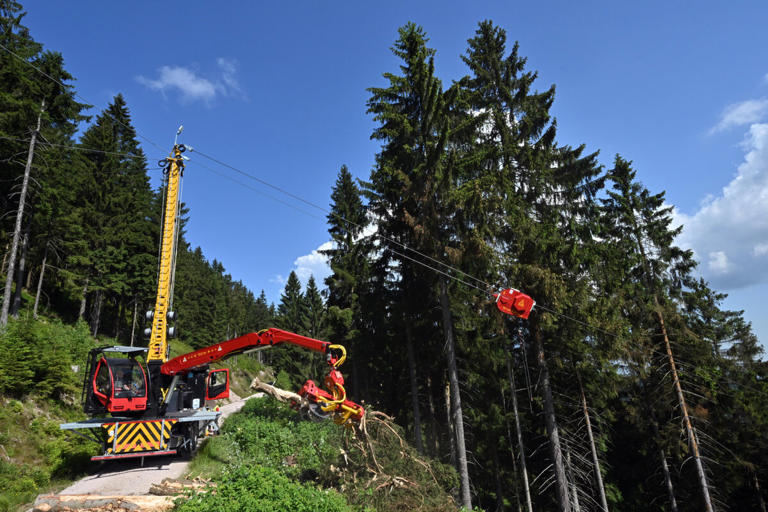 Damit riesige Maschinen gewartet werden können: Landesforstanstalt ...