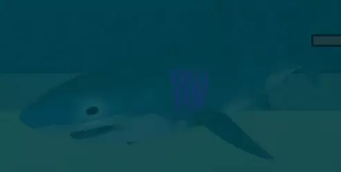 Arcane Odyssey: How to get poison tooth dagger