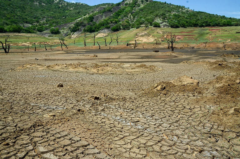 AP government forms panel to classify dry, Jareebu lands