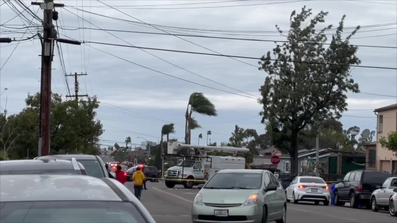 This week's winds and rain serve as reminder to trim trees before next ...