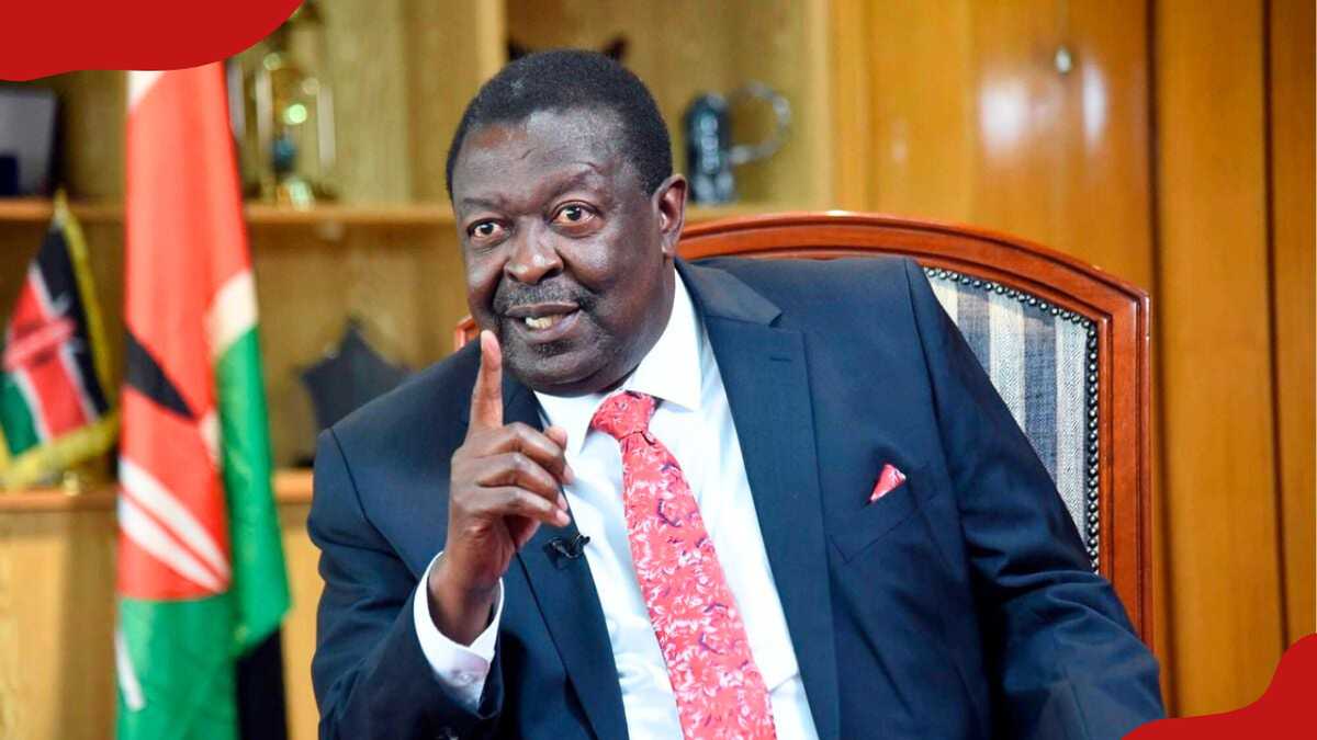 Referendum must come before 2027 or polls may be invalid, Musalia ...