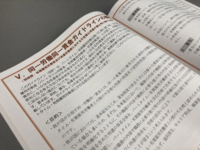 How is Japan revising 'equal pay for equal work' guidelines?
