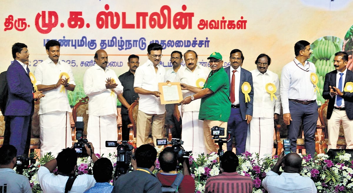 BJP backers panning NDA, while even DMK detractors are lauding us: CM ...