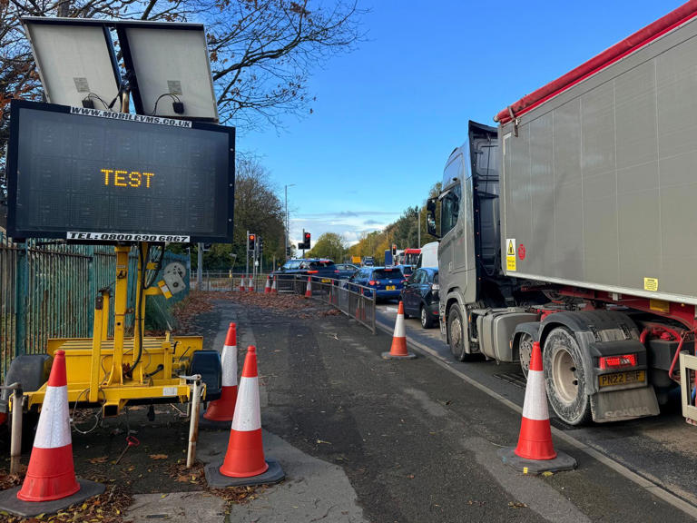 'Disaster waiting to happen': Cats killed, landmarks damaged and ...