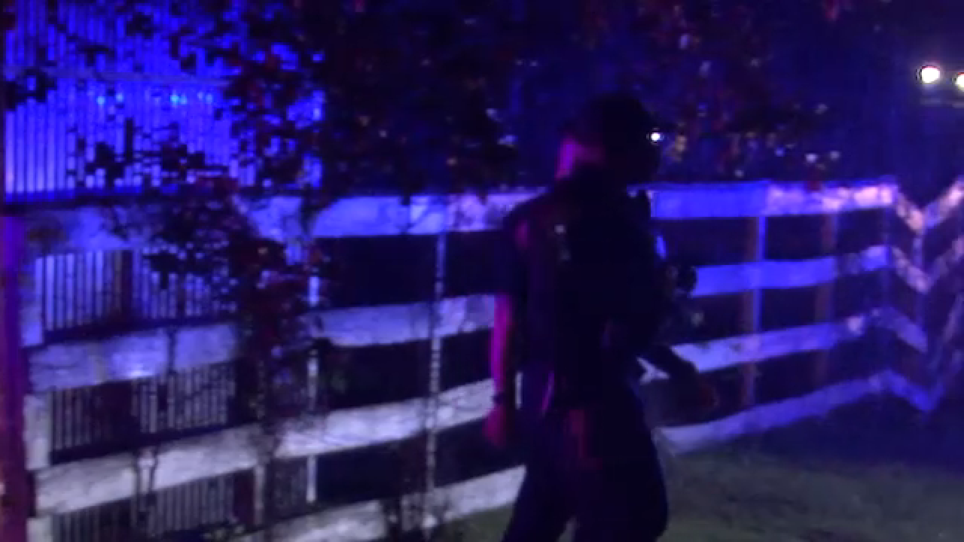 Hundreds of roosters found during investigation into alleged rooster ...