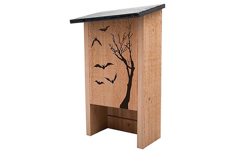 13 strange things you didn’t know Tractor Supply sells