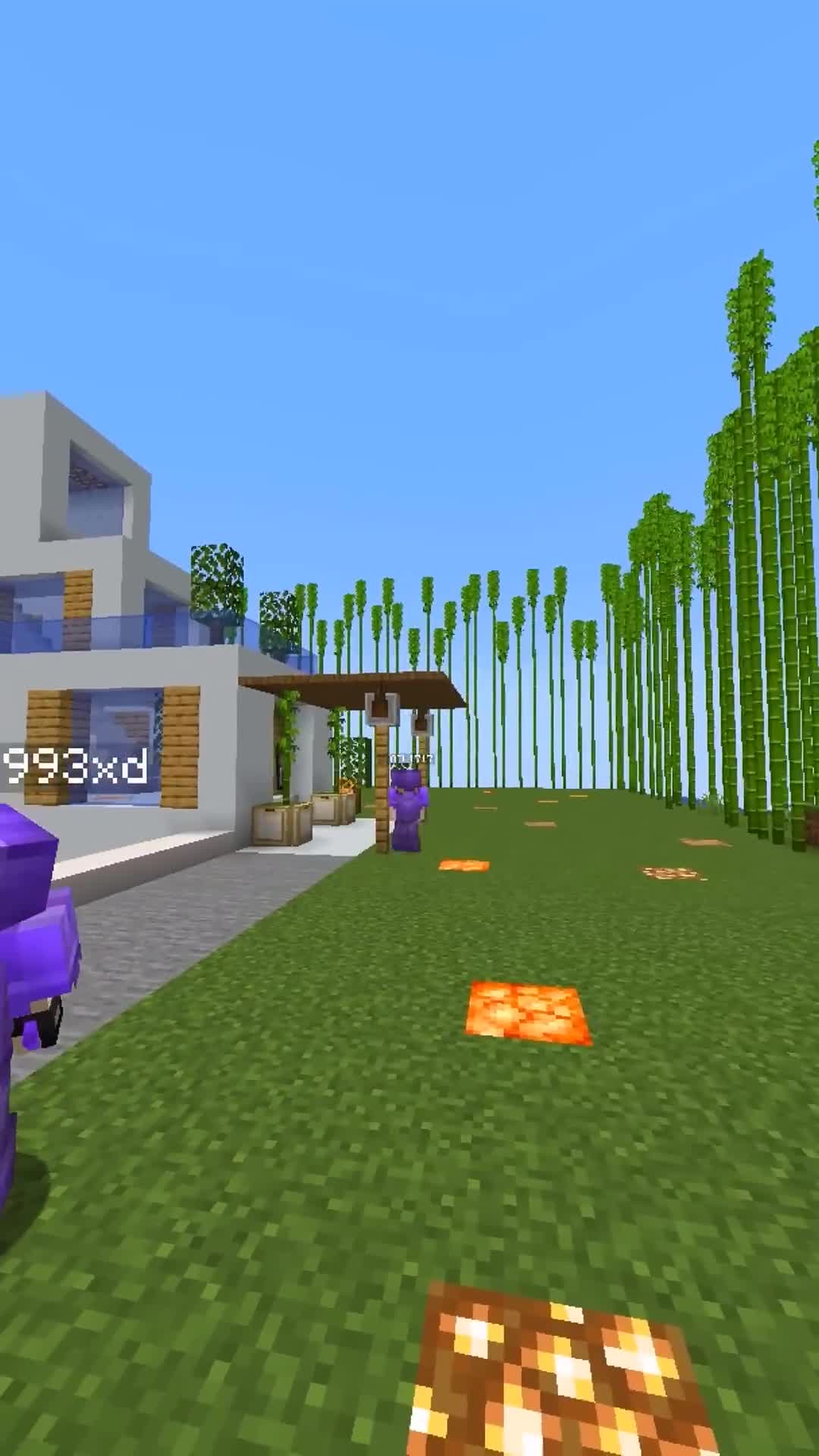 Decidí regalar items OP en el spawn de este servidor en Minecraft