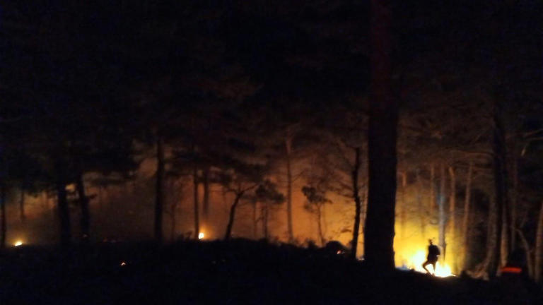 Bozyazı’da çıkan orman yangını kontrol altına alındı