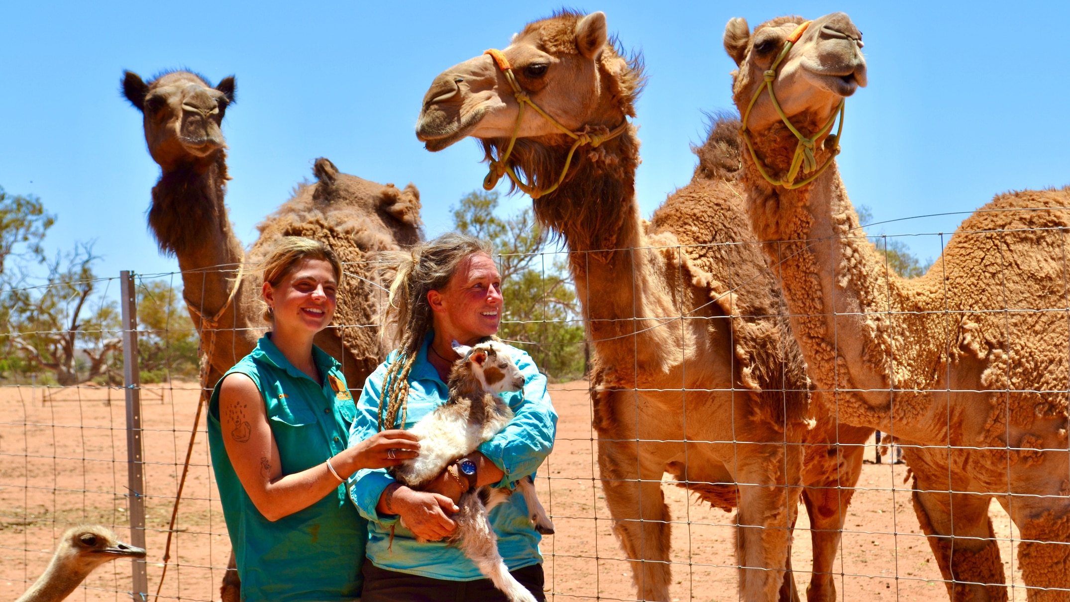 Farm life is charming international visitors in Australia's outback