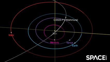 Comet Nishimura's Path Around the Sun in Orbit Animation