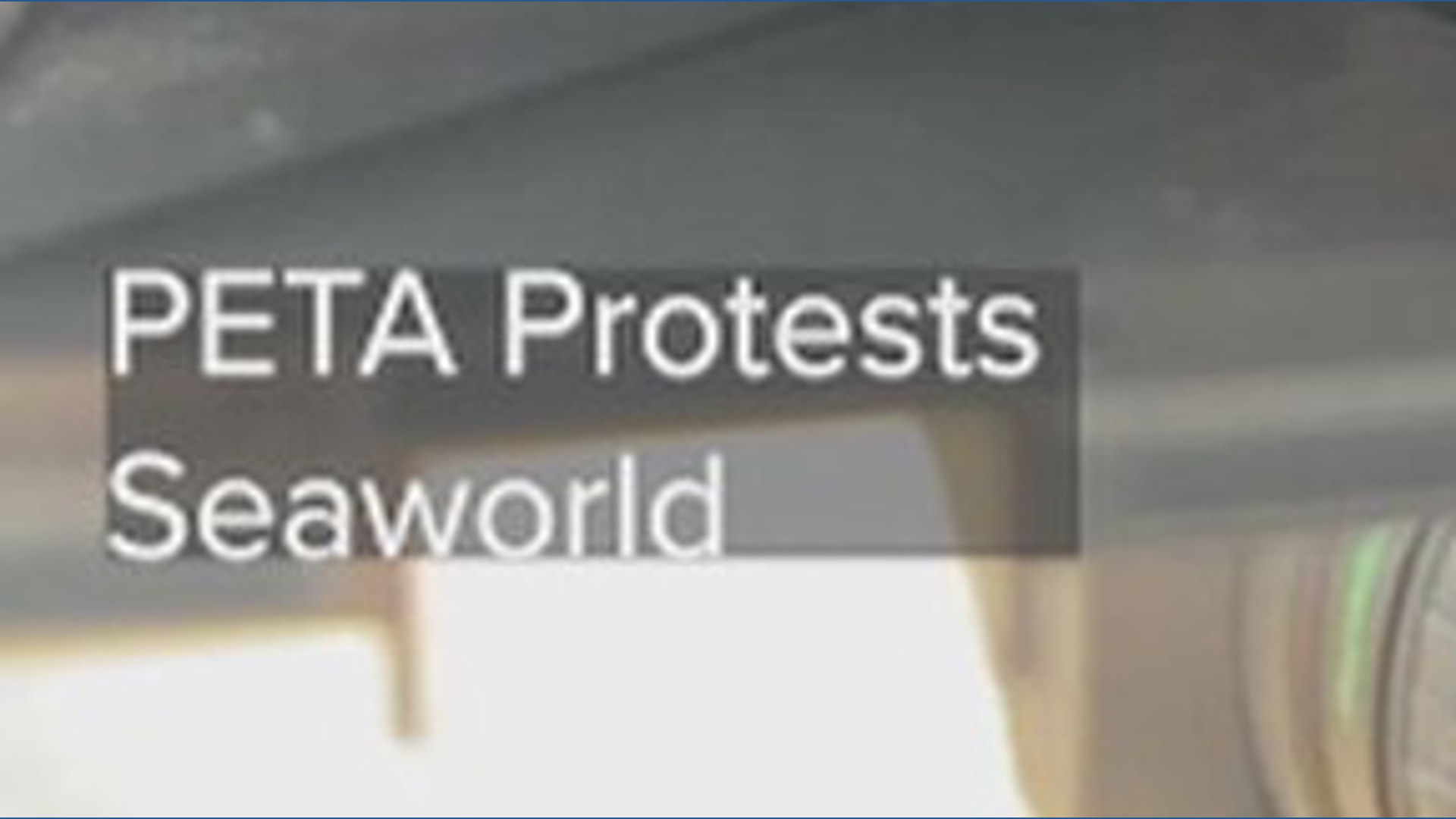 PETA protests SeaWorld after Alamo Bowl promotion