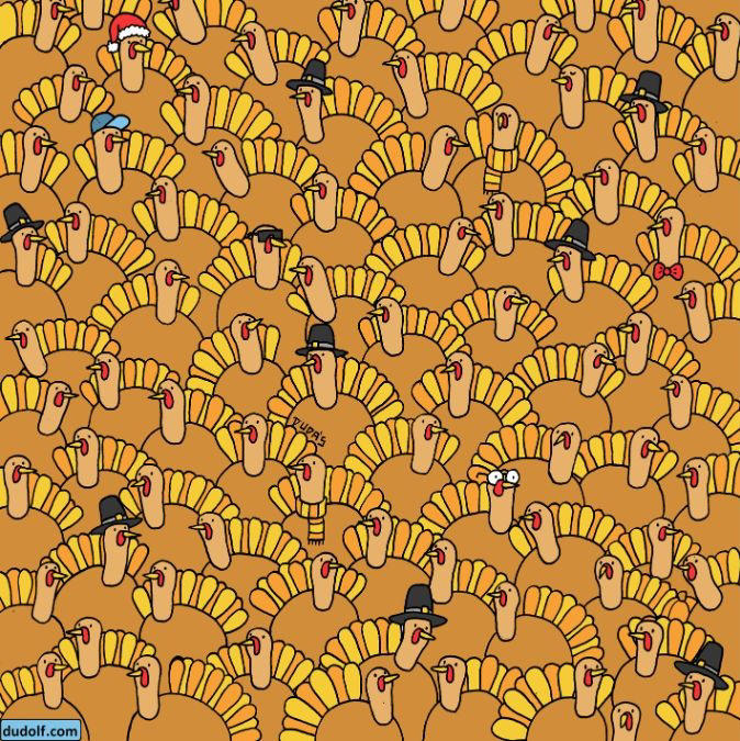 Only 1 in 100 sharp-eyed can spot the pumpkin among turkeys in 32 seconds!