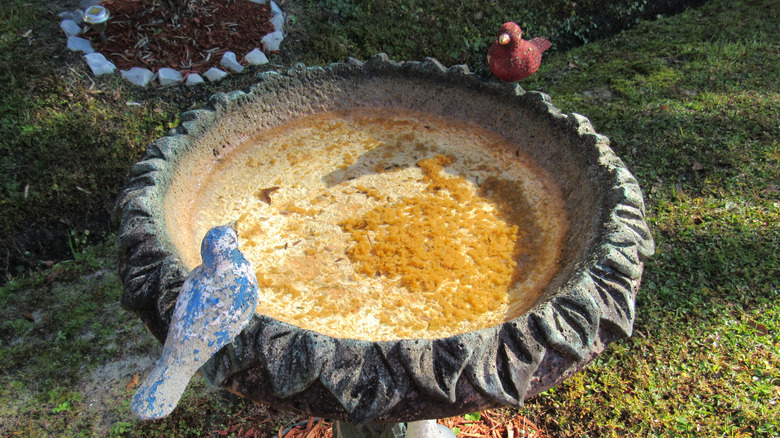 Keep algae out of your birdbath by using this durable material