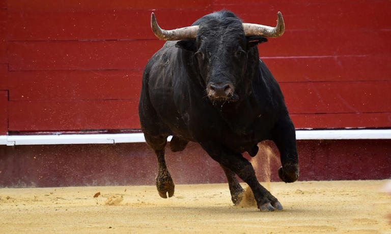 Discover your spirit animal based on your birth date