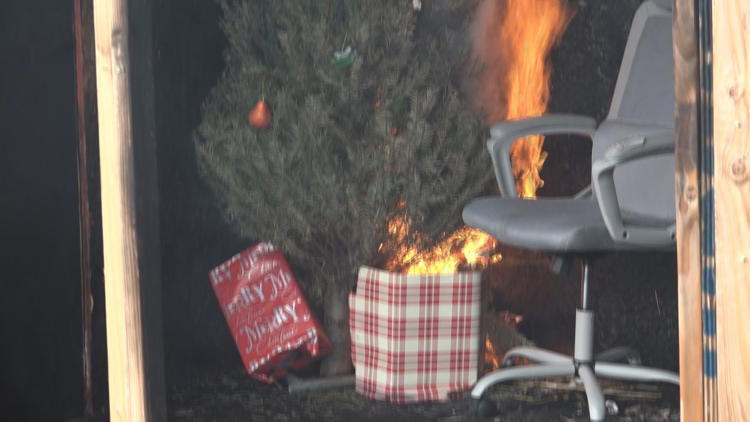 'Time to get them out': Dried out Christmas trees pose serious fire risk