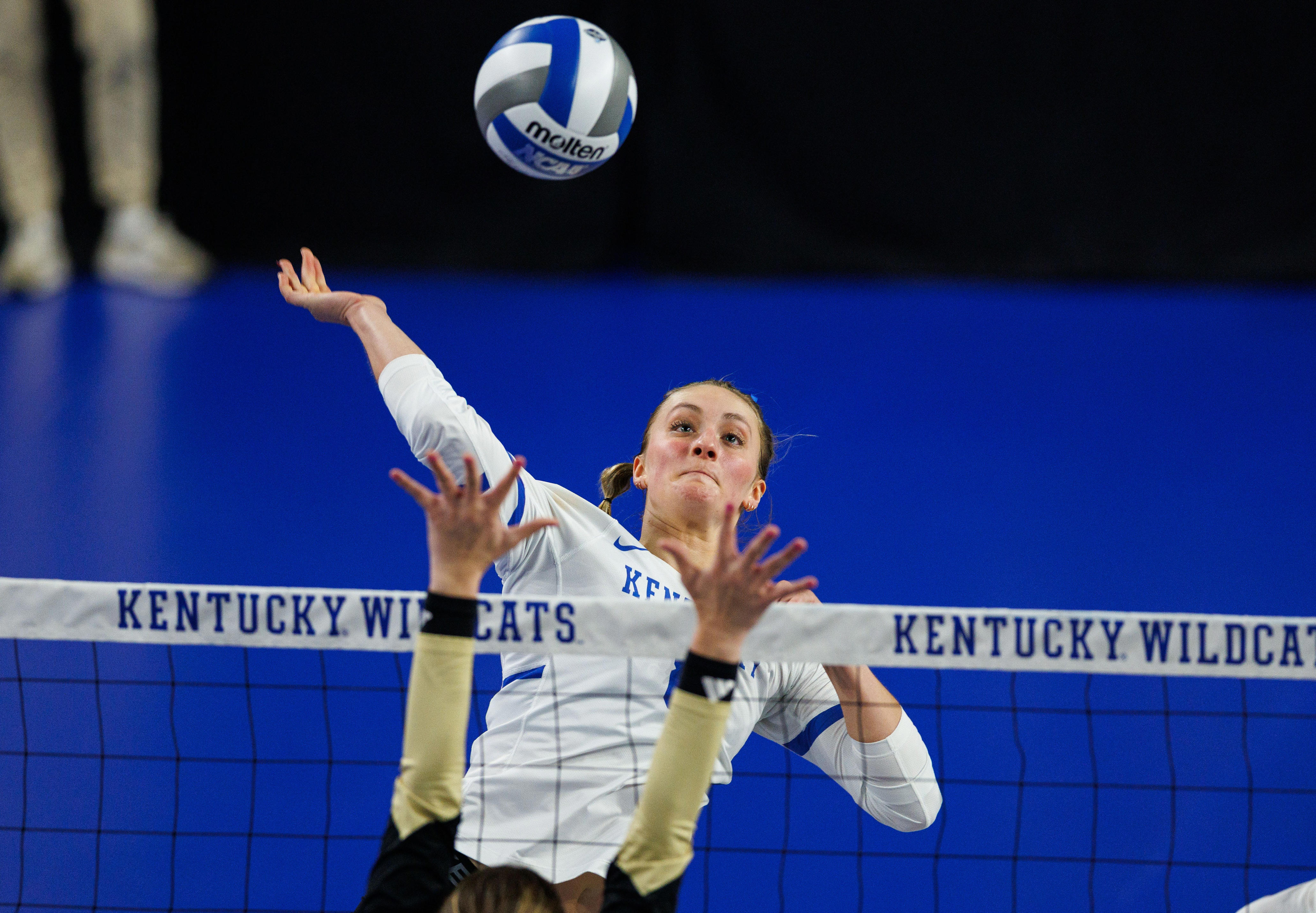 Kentucky volleyball is losing a player to rival Louisville
