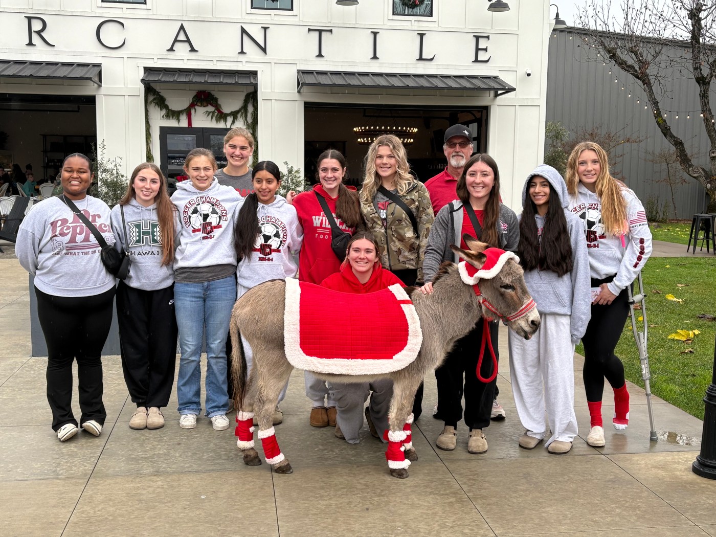 Prep basketball | Ferndale girls finish third at Kelseyville; SB drops ...