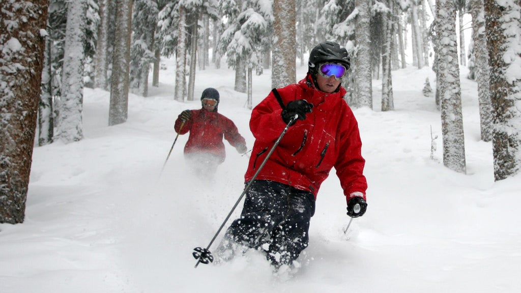 Telluride ski resort closes indefinitely on Saturday due to ski patrol ...