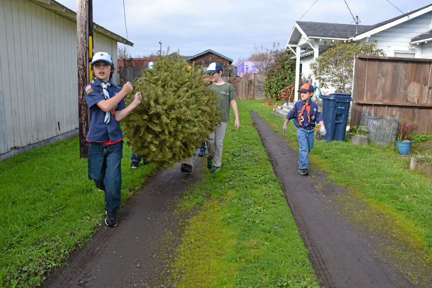 It’s time to address the annual question: How do I get rid of the tree?