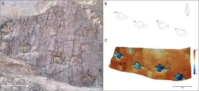 160-million-year-old dinosaur tracks discovered in Chile’s Atacama Desert