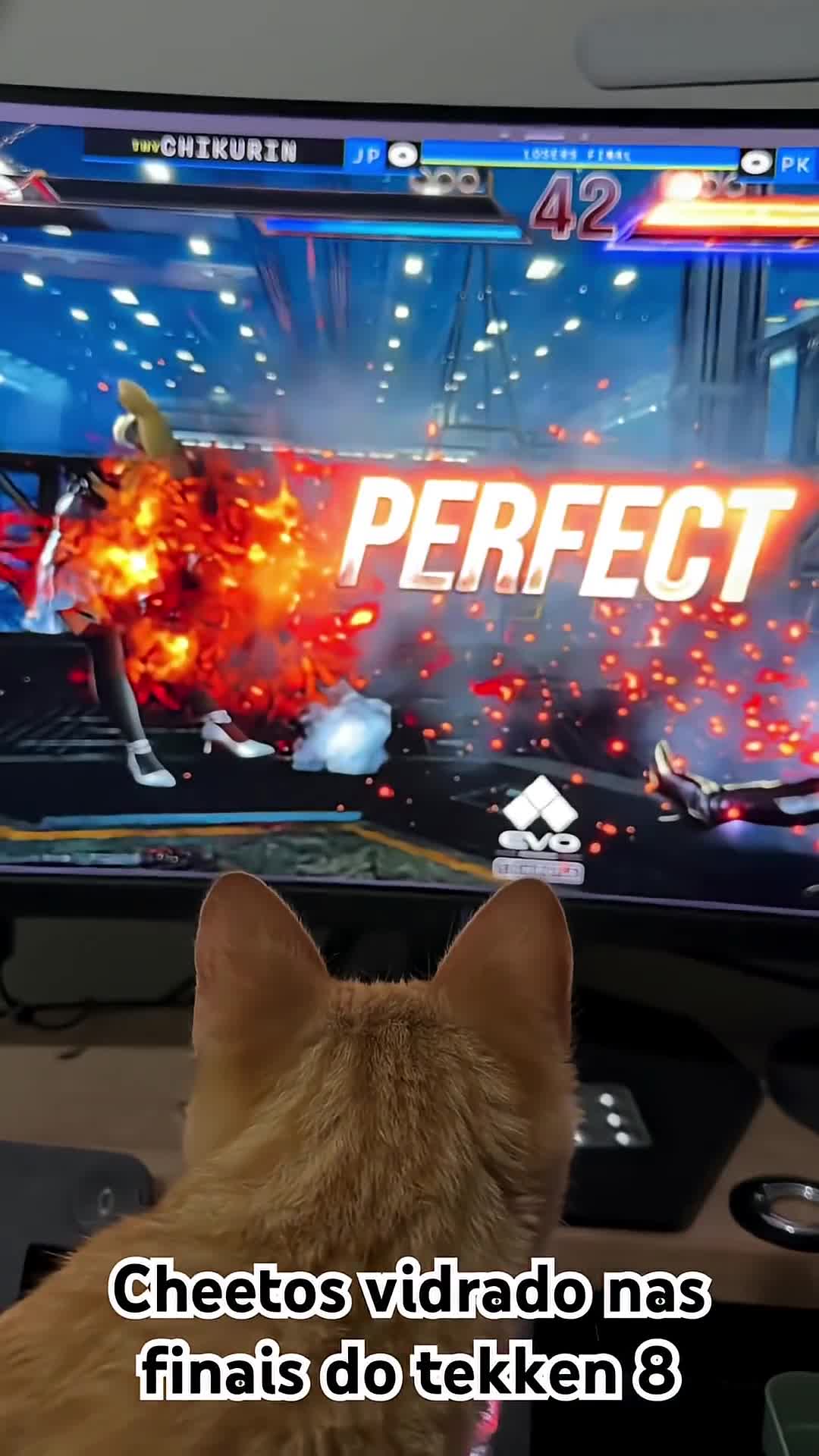 Cheetos o gato assistindo Tekken 8 na #evo2025 #games #cat #tekken8