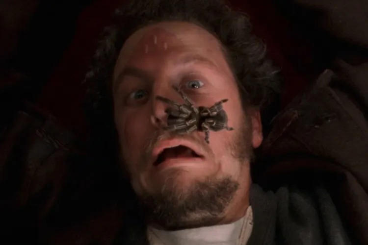 'Home Alone' star hired to recreate iconic scene from Christmas classic ...