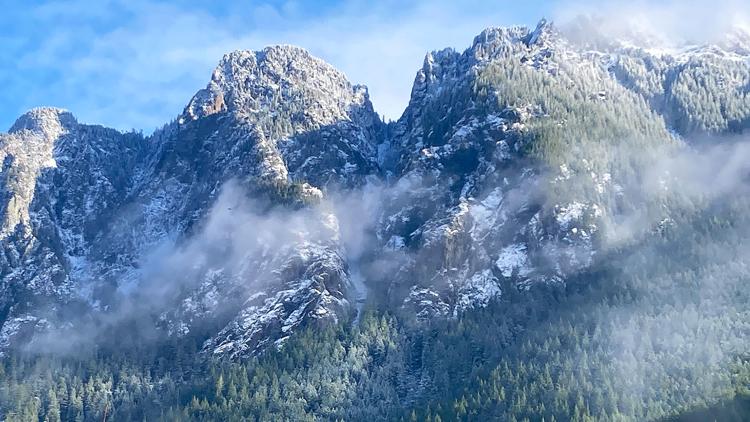 Bear attack on Mt. Si seriously injures hiker, shuts down mountain