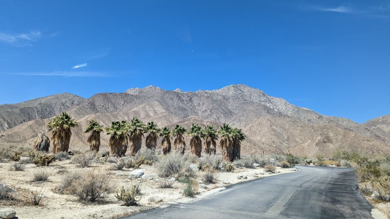 Why this desert destination is becoming an eco-tourism favorite