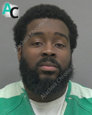 Gainesville man arrested for ramming family member's vehicle with two ...