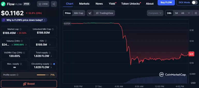 Flow token plummets as project investigates security incident