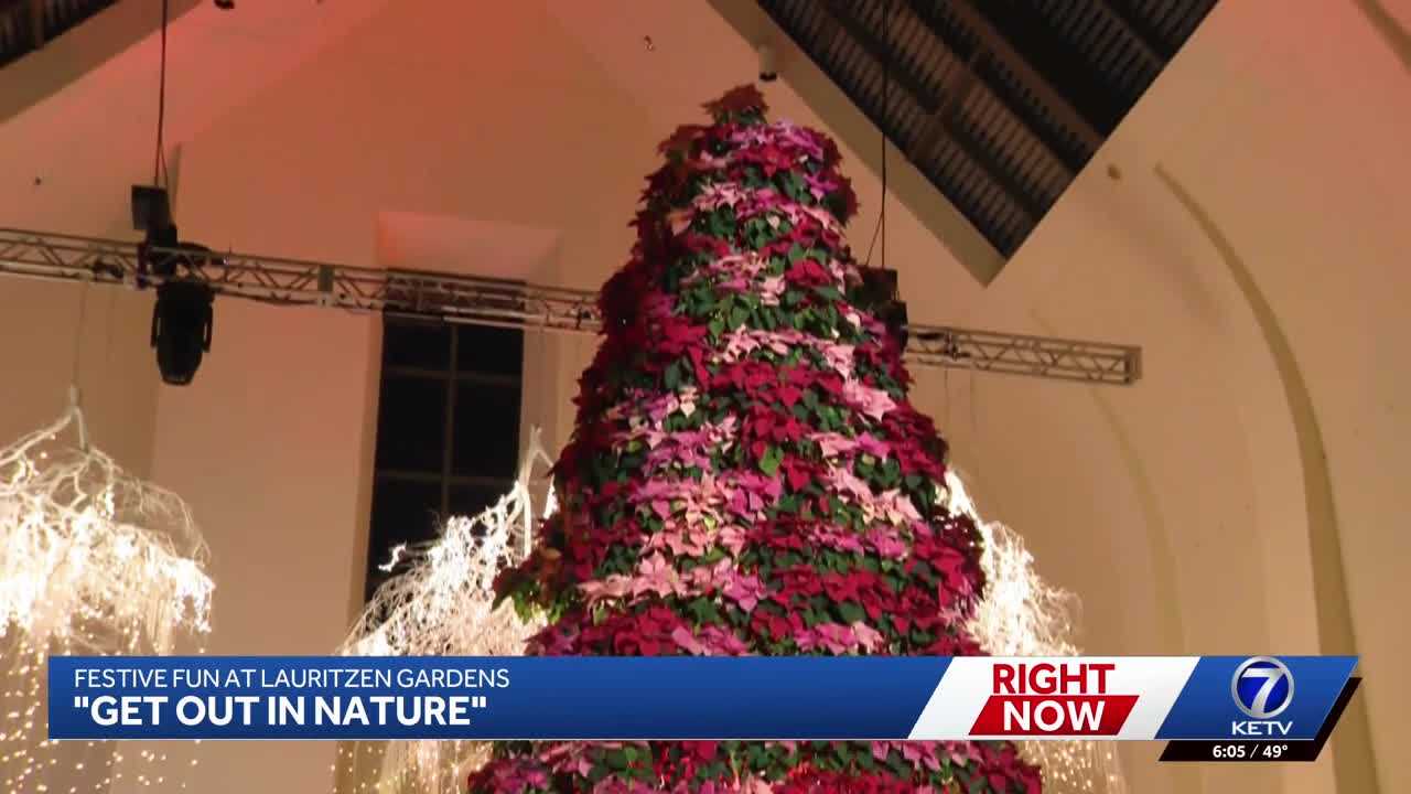 'Get out in nature': 20-foot poinsettia tree offers festive fun at ...