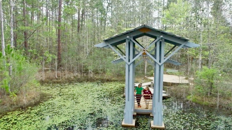 A stunning 700-acre garden that's a must-see when visiting Mississippi