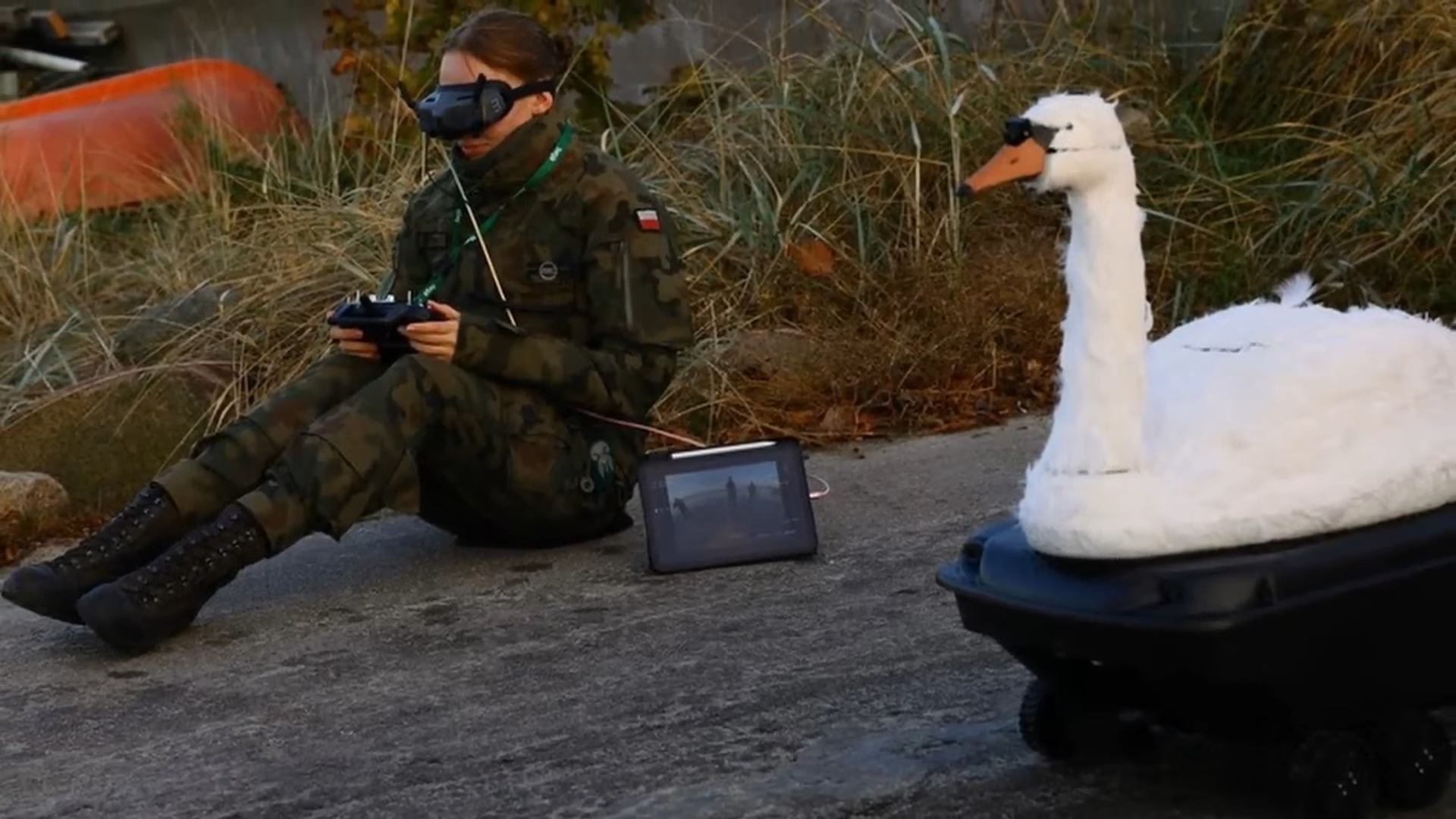 This Polish swan drone is actually a spy robot!