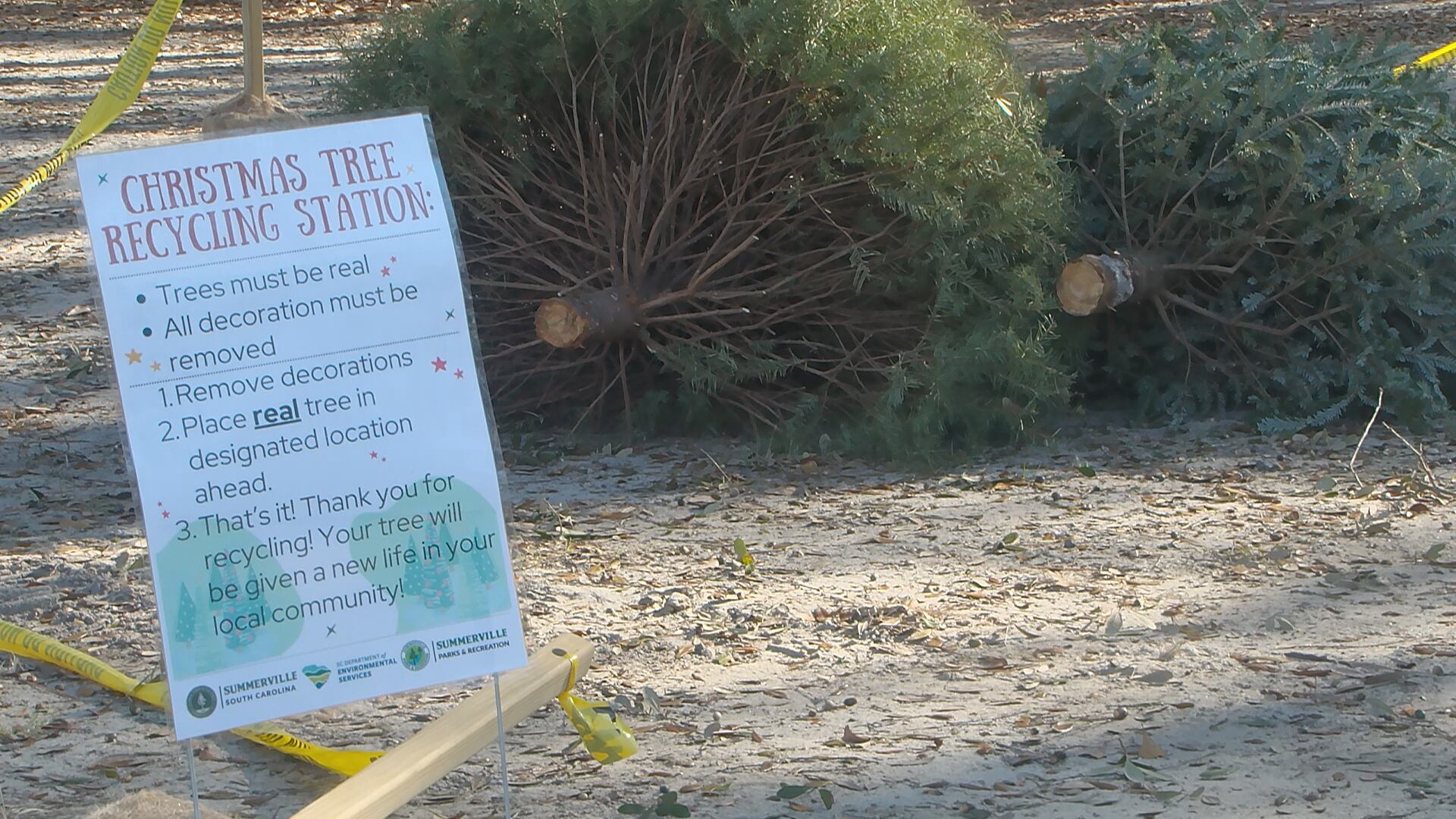 Summerville offers Christmas tree recycling to keep trees out of landfills