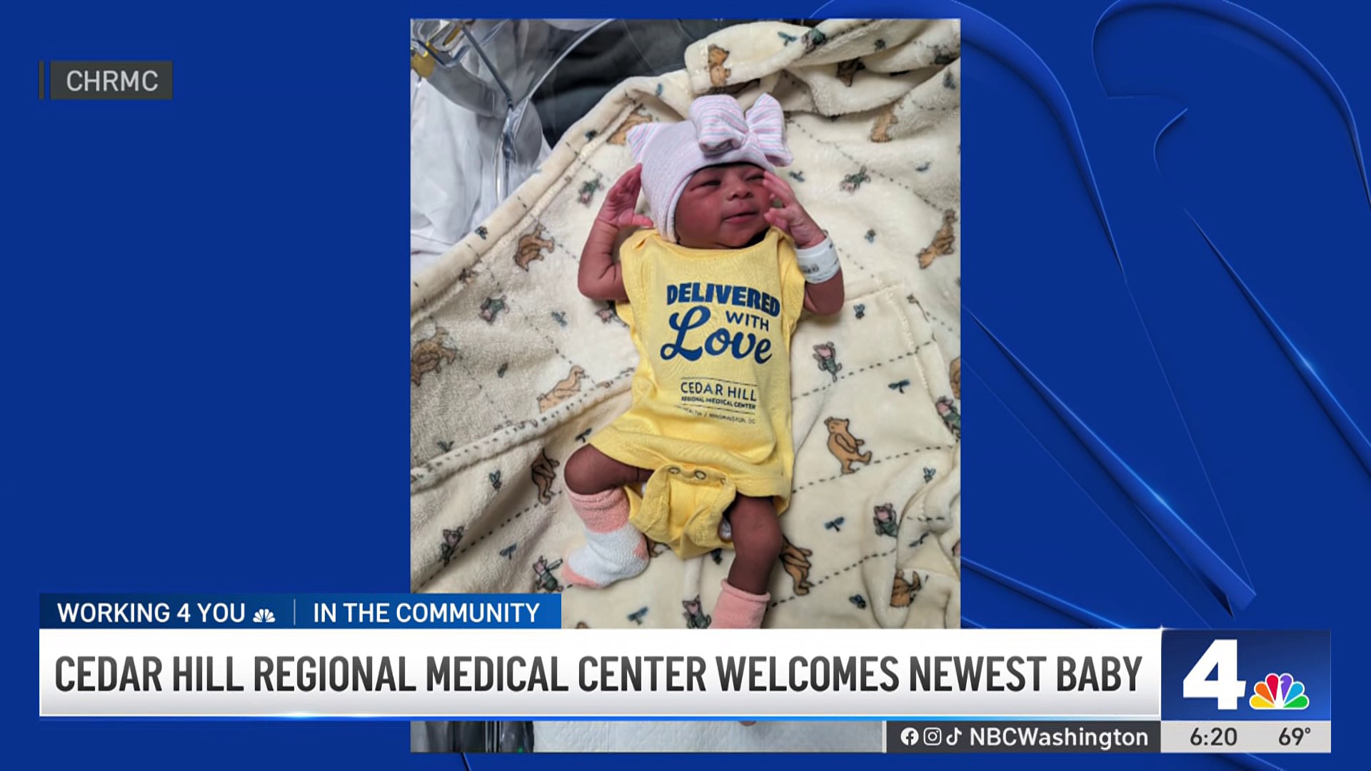 Couples, community and a bunch of baby animals: Good news from the DC ...