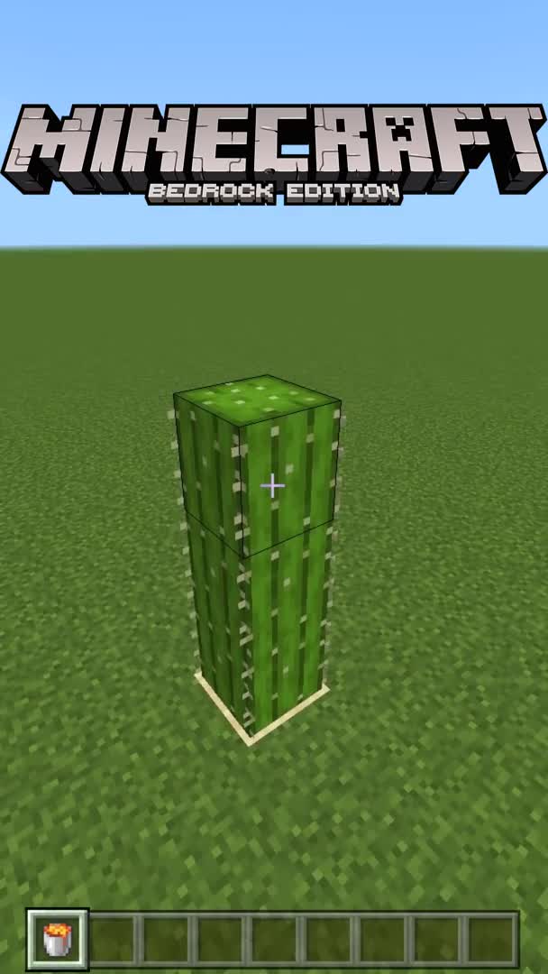 Cosas QUE NO SABIAS SOBRE Minecraft #48