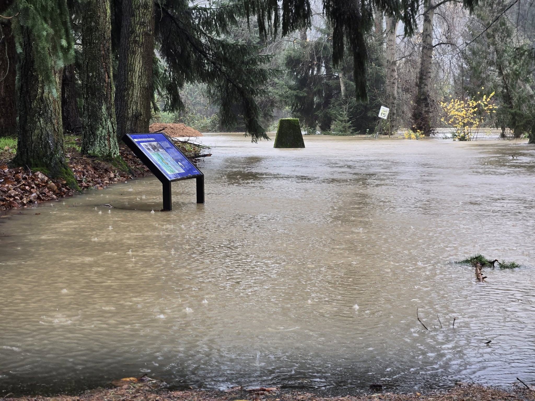 King County releasing how many people impacted by flooding