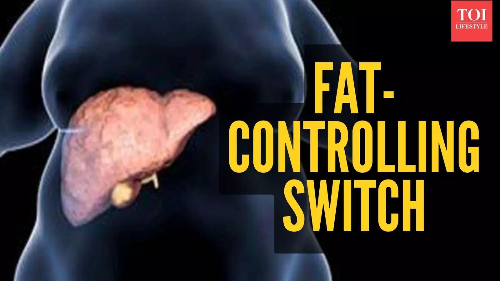 New study discovers 'fat switch' in body that can turn off weight gain ...