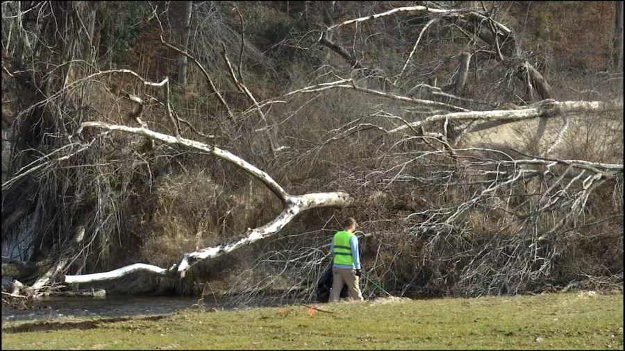 'Most intense we've seen': Hurricane Helene debris lingers in ...