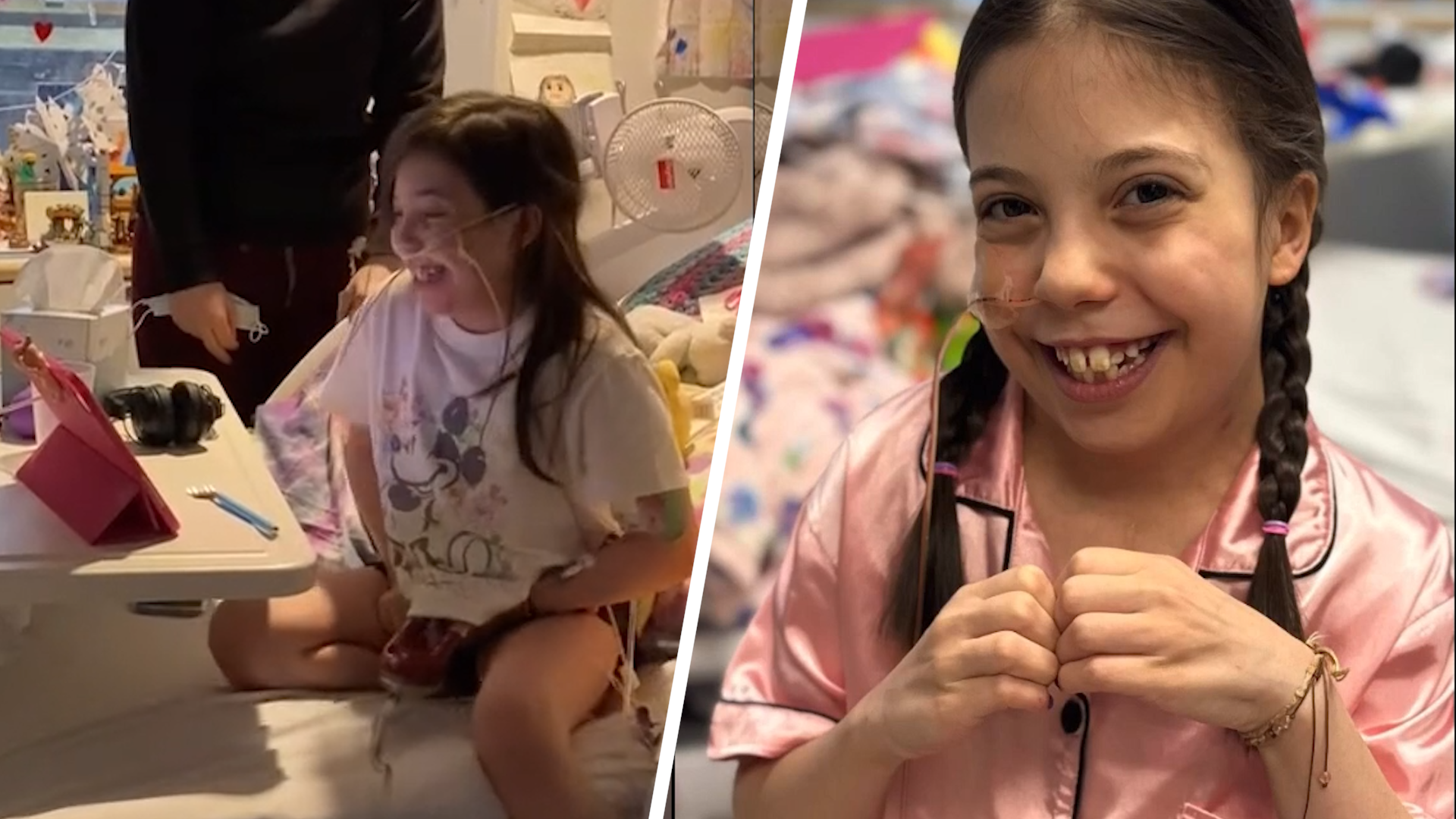 Couples, community and a bunch of baby animals: Good news from the DC ...