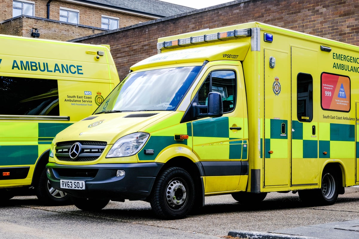 Paramedic struck off after lie about sick sister exposed by Facebook