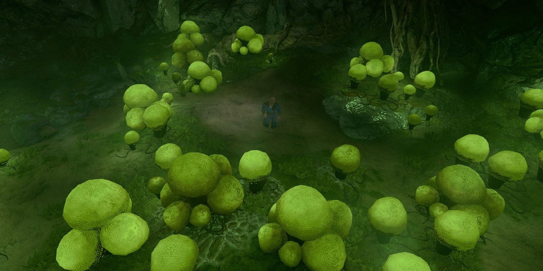 How to find and save the mushroom picker in BG3 (Baldur's Gate 3)